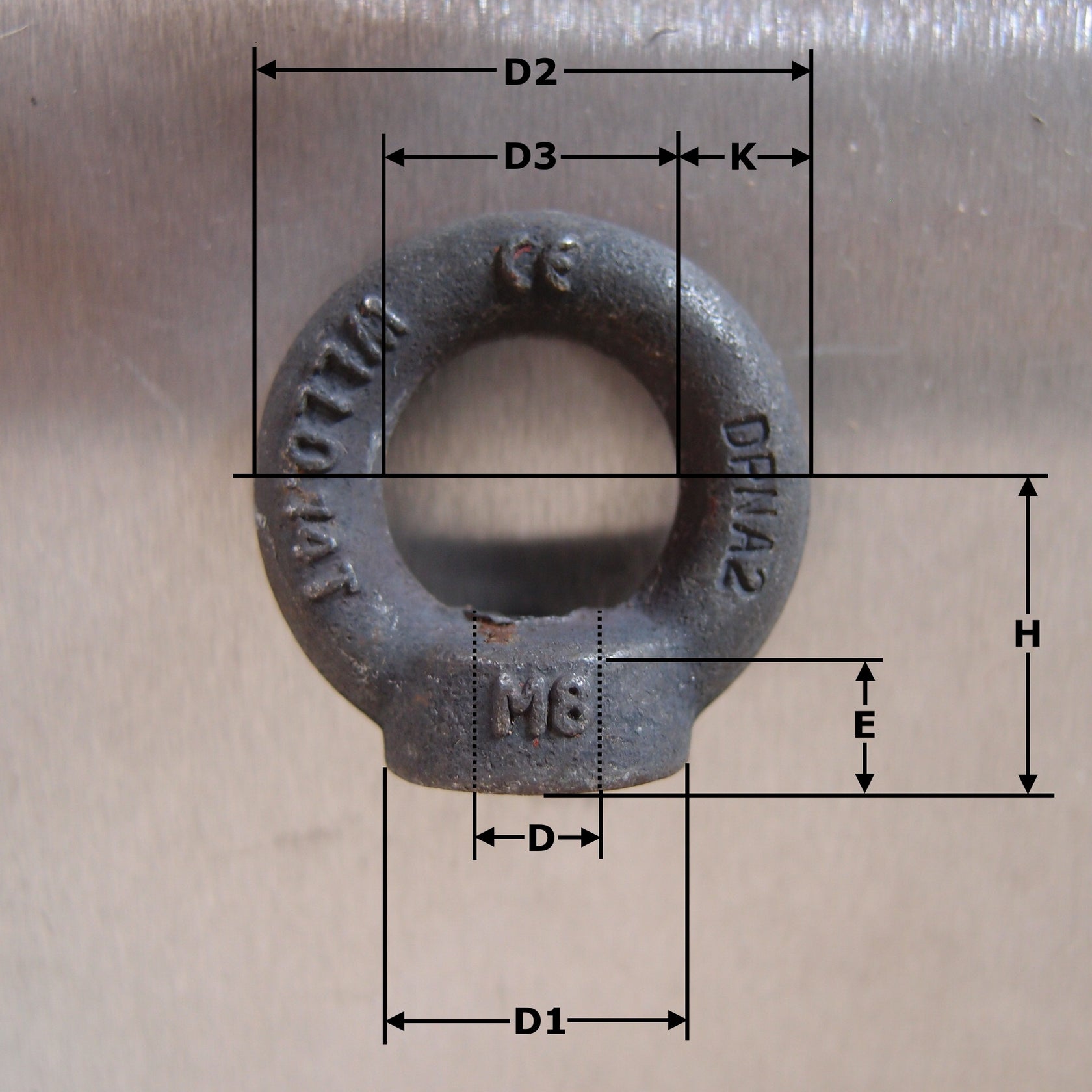 Lifting Eyenuts - DIN582 - Self Colour – Absolute Industrial